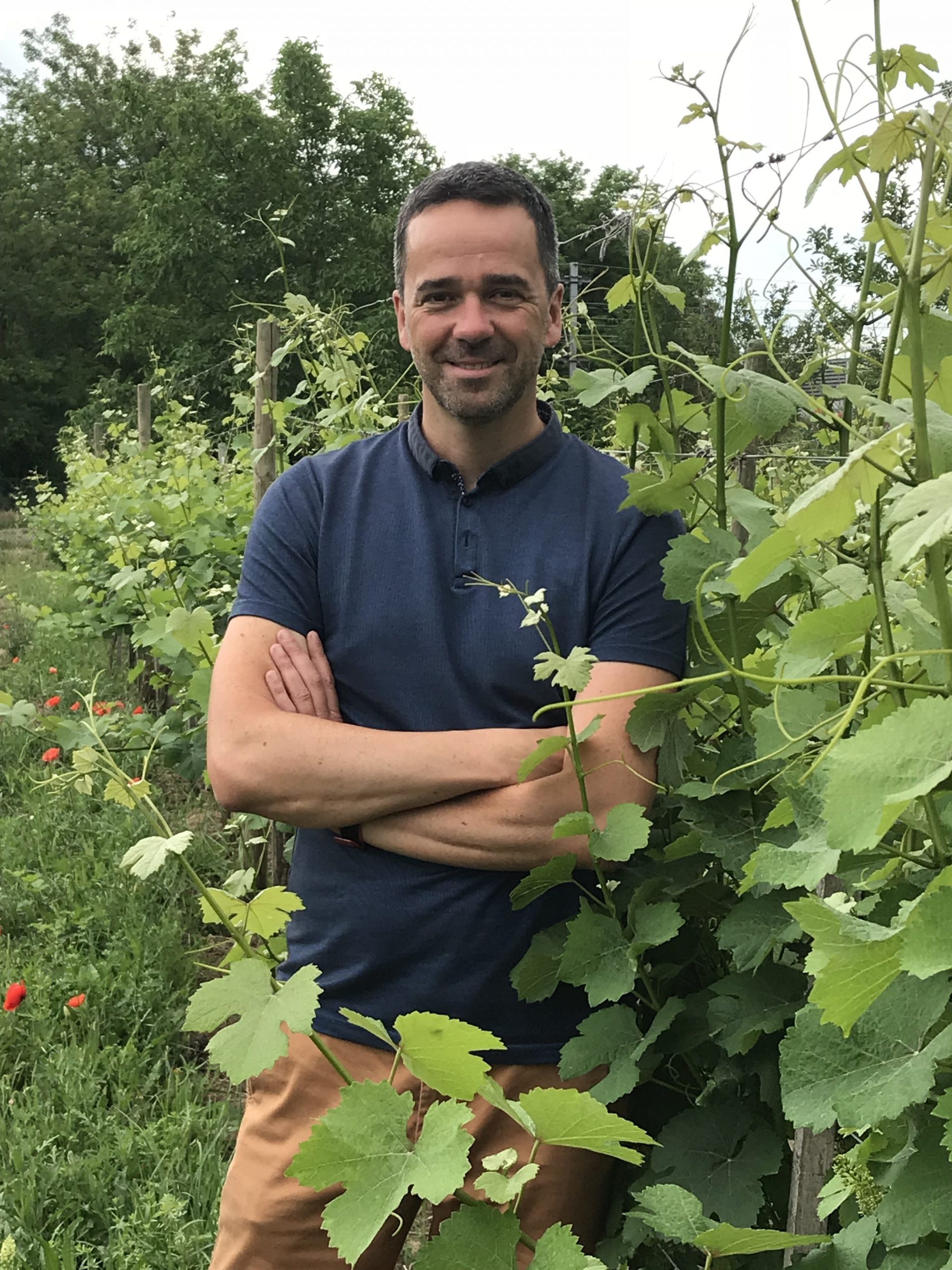 Christophe BERTSCH selected in 2018 in the top 20 of Wine - LVBE - Vine ...